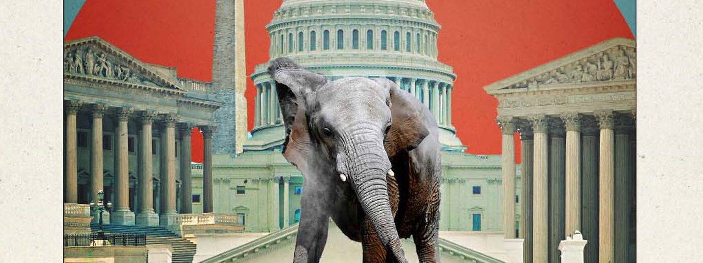 An Impressive Republican Farm Team | 60 Plus Association